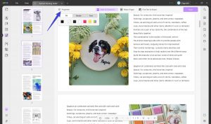 Top 3 Ways to Blur PDF Free Online and Offline | UPDF