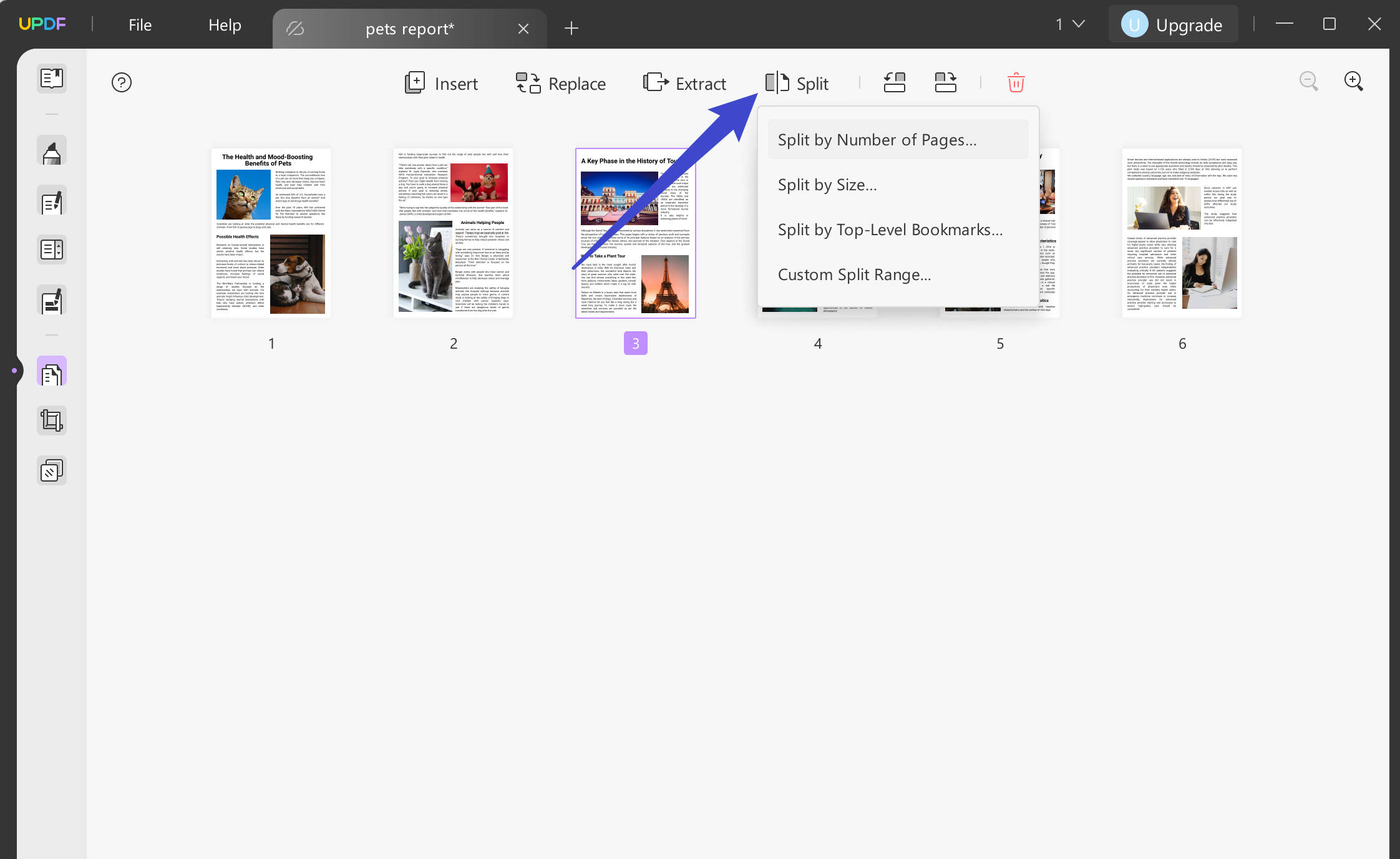 A Guide to Organize PDF Pages Like Never Before | UPDF