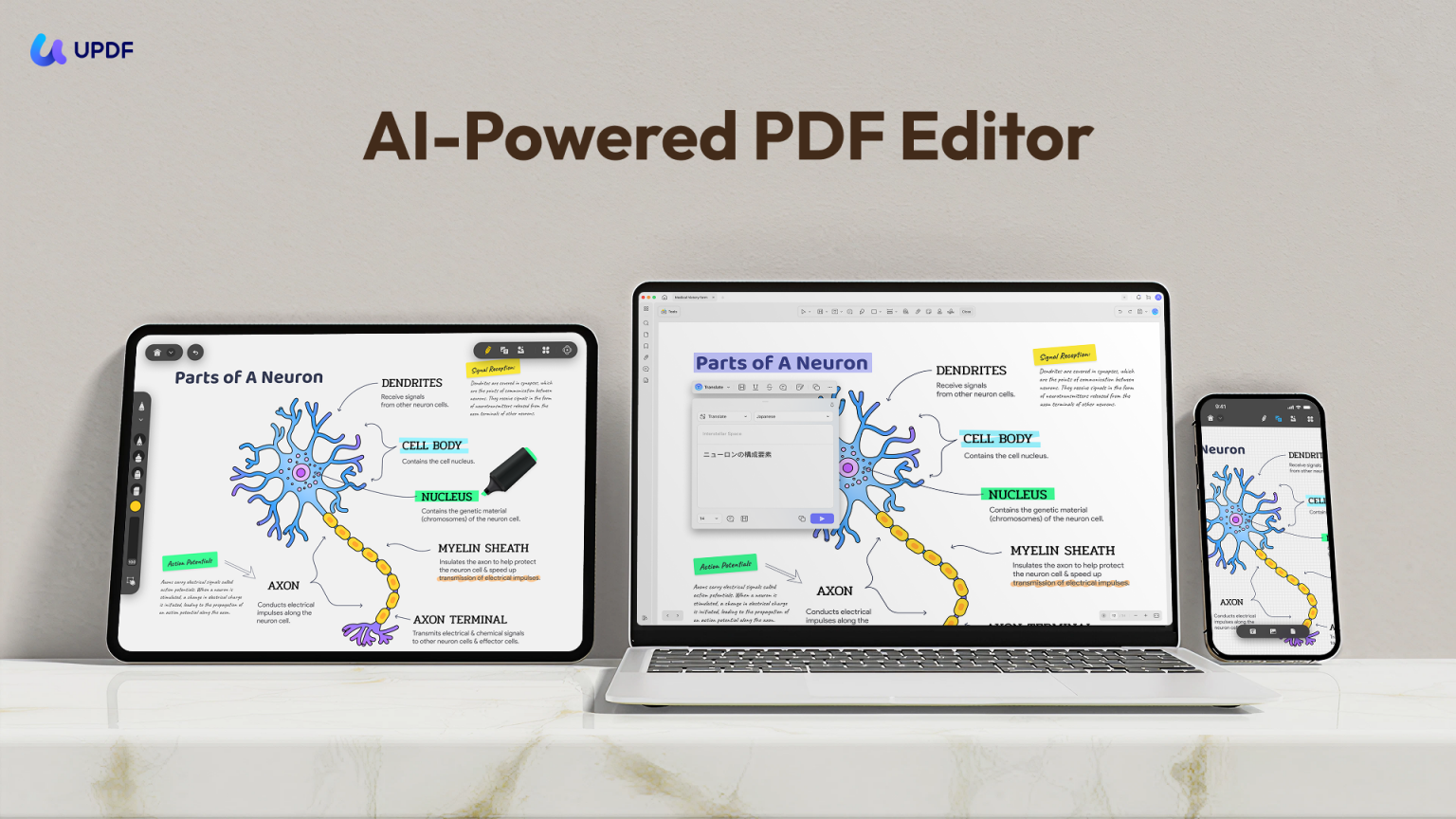 Adobe Reader vs. Adobe Acrobat: Which One to Choose? | UPDF