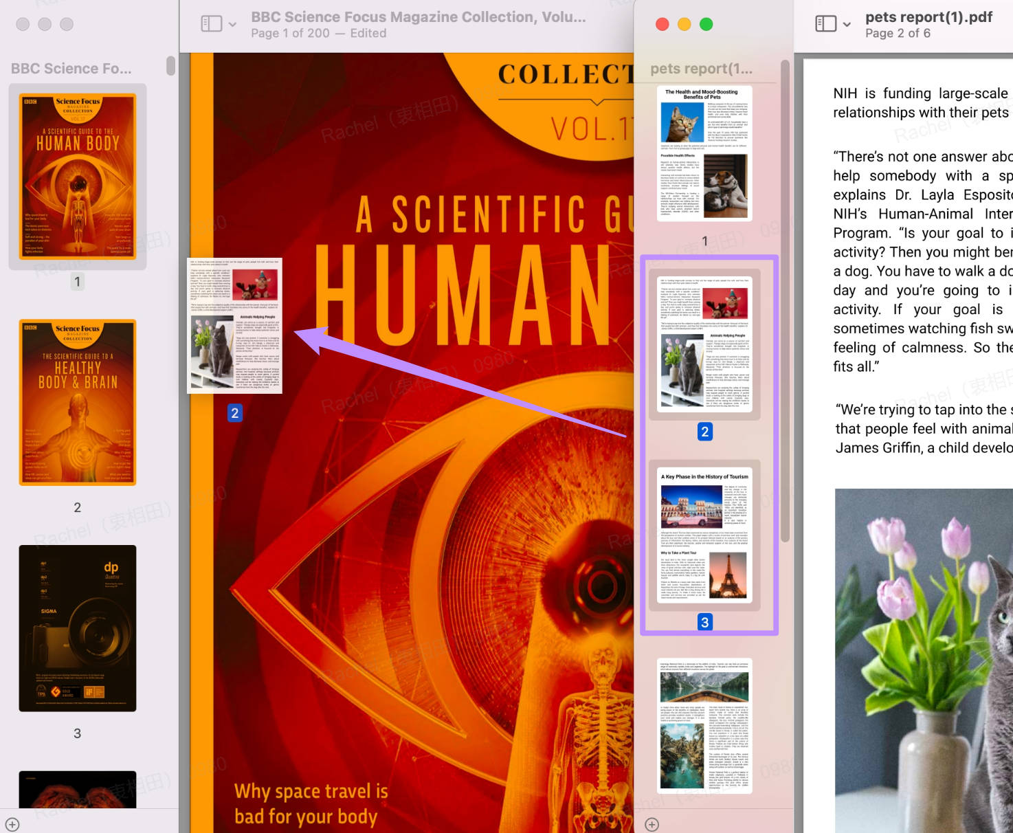 How to Combine PDFs in Preview Effortlessly | UPDF