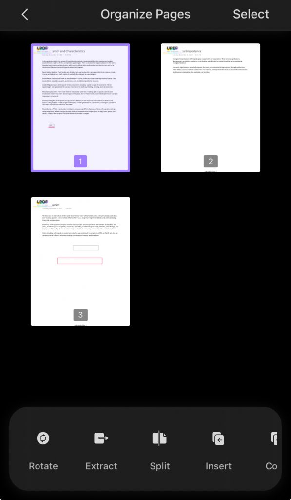 How to Split PDF on iPhone? (2 Proven Ways)| UPDF