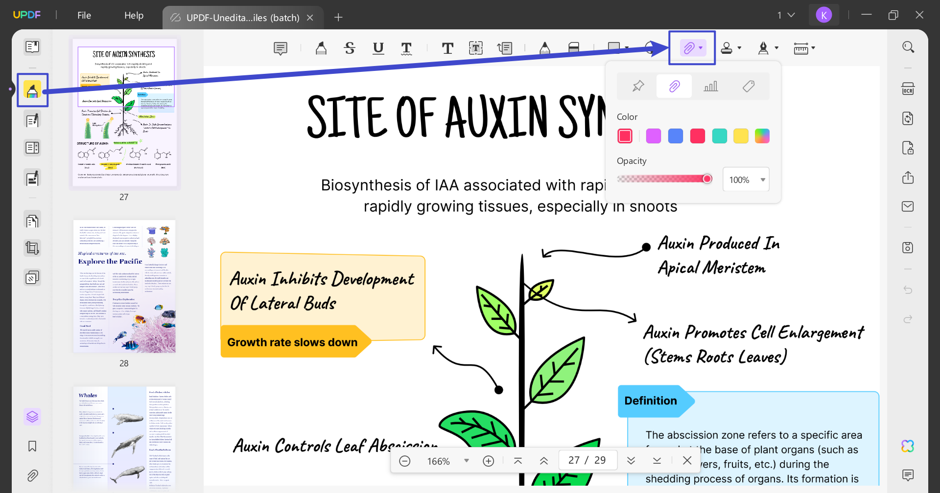 Learn How to Download Prezi as a PDF Quickly and Easily - UPDF