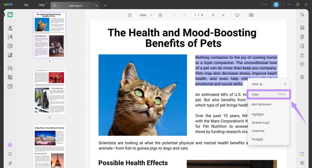 “When I Copy Text from a PDF It Is Gibberish” Fixed Now! | UPDF