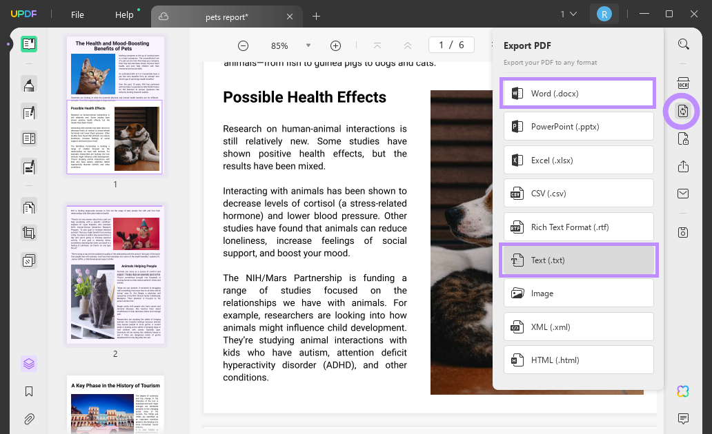 “When I Copy Text from a PDF It Is Gibberish” Fixed Now! | UPDF