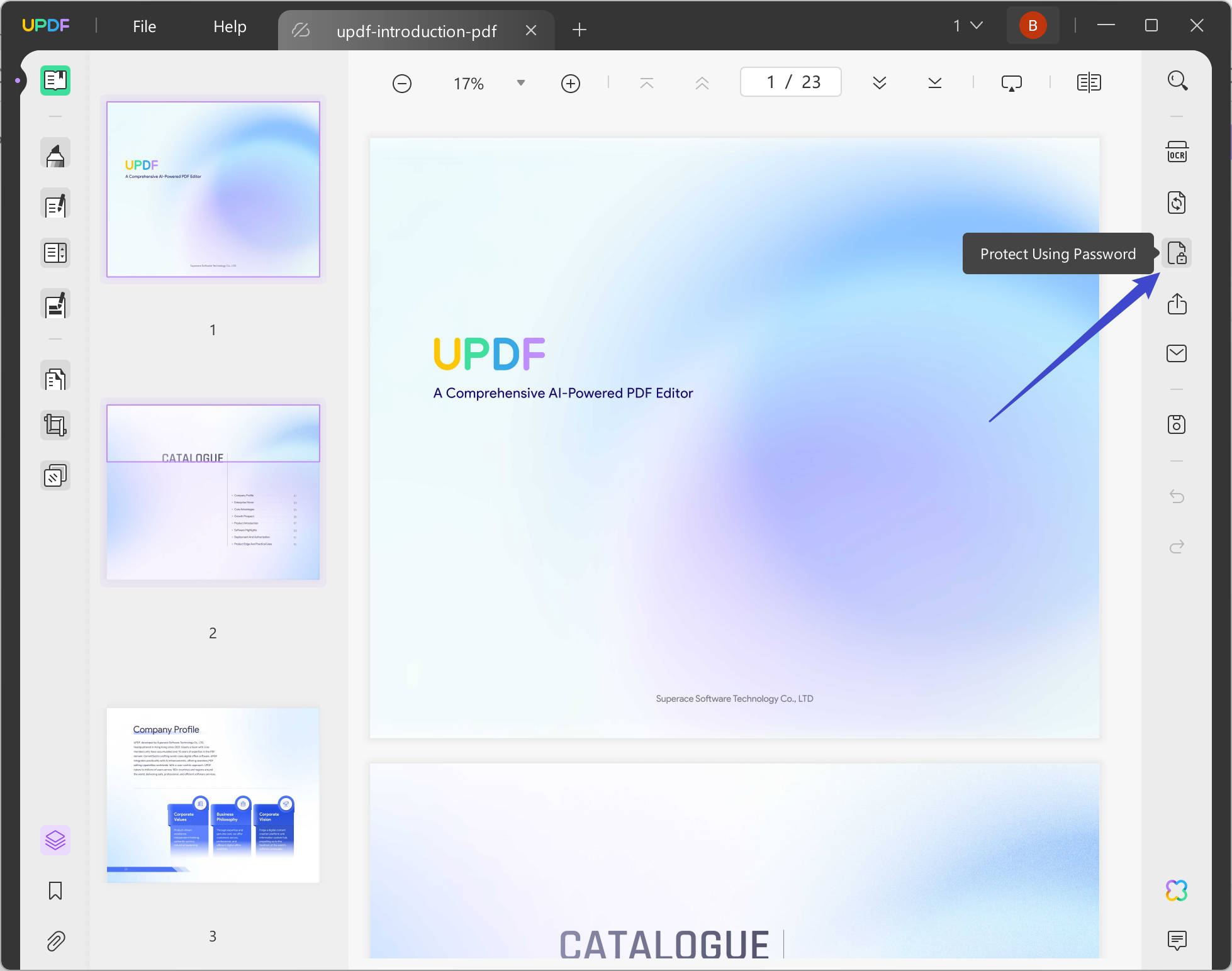 Password Protect Or Redact Pdf With Updf Windows User Guide