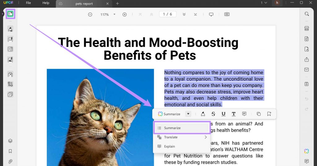 Summarize PDFs with UPDF AI | UPDF User Guide