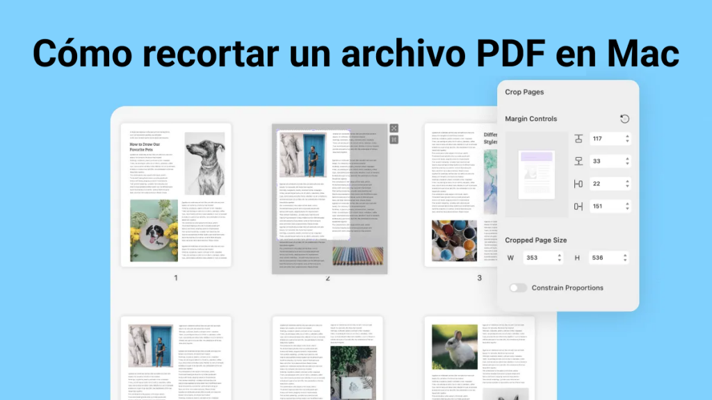 Cómo recortar un archivo PDF en Vista Previa en Mac | [Official] UPDF