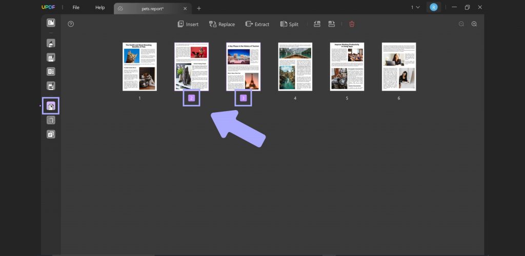 How to Extract Pages from PDF? In Seconds | UPDF