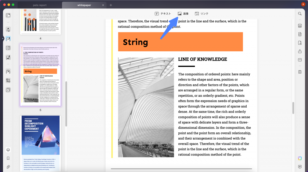 Xchange Editor Mac バージョンの使用: 詳細ガイド | UPDF