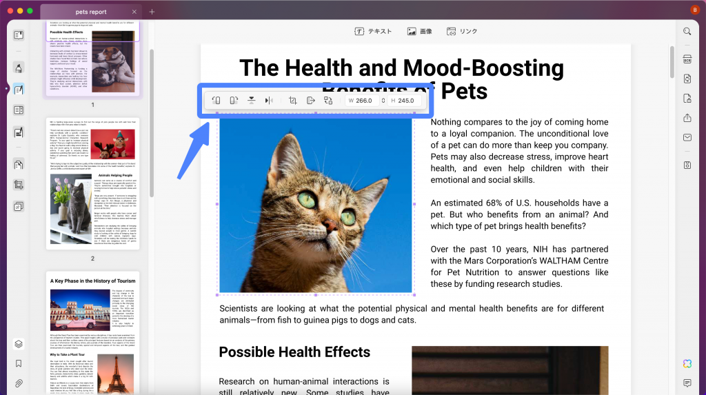 Xchange Editor Mac バージョンの使用: 詳細ガイド | UPDF