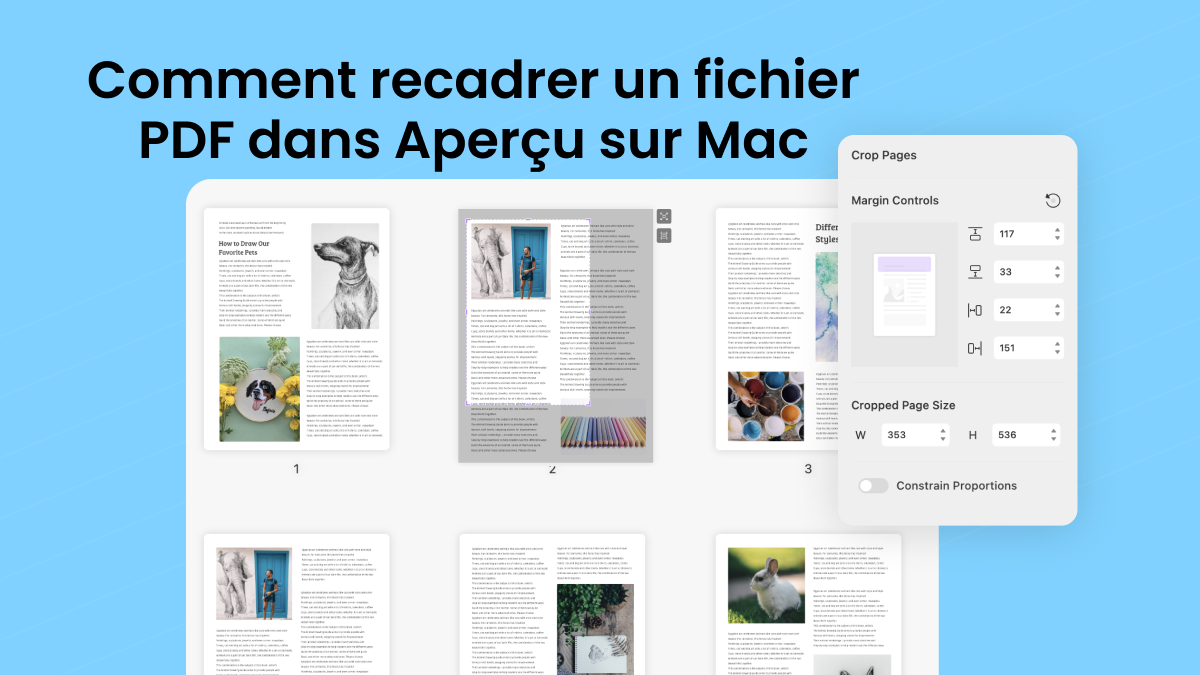 Comment recadrer un PDF dans l'aperçu sur Mac | UPDF