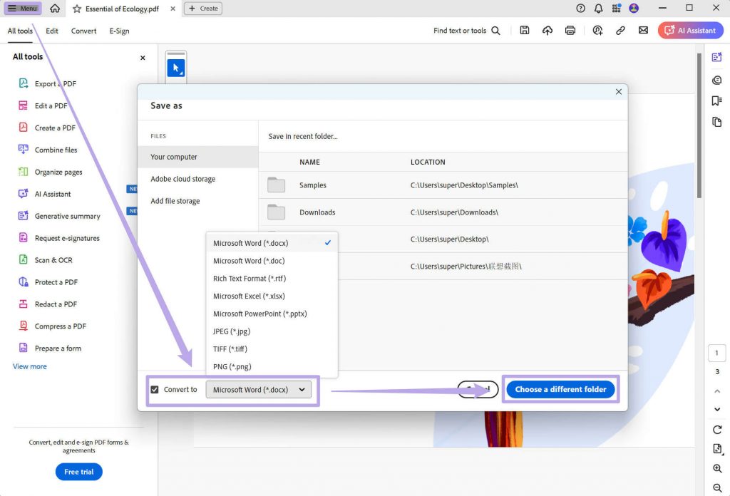 How to Translate PDF with Adobe Acrobat? (Step by Step) | UPDF