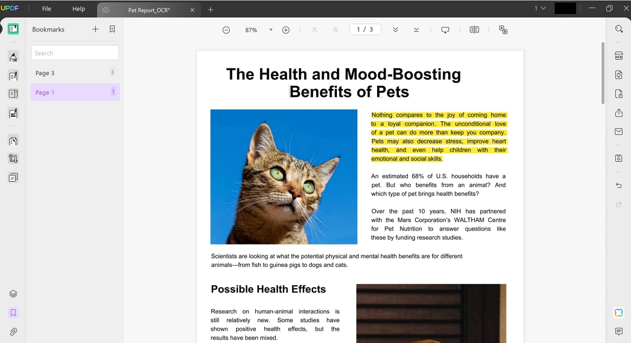 Master Report Automation: The Best AI Report Creators Compared