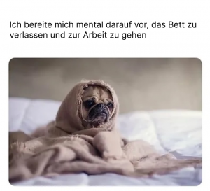 15 besten Guten-Morgen-Memes, die Ihren Tag erhellen | UPDF