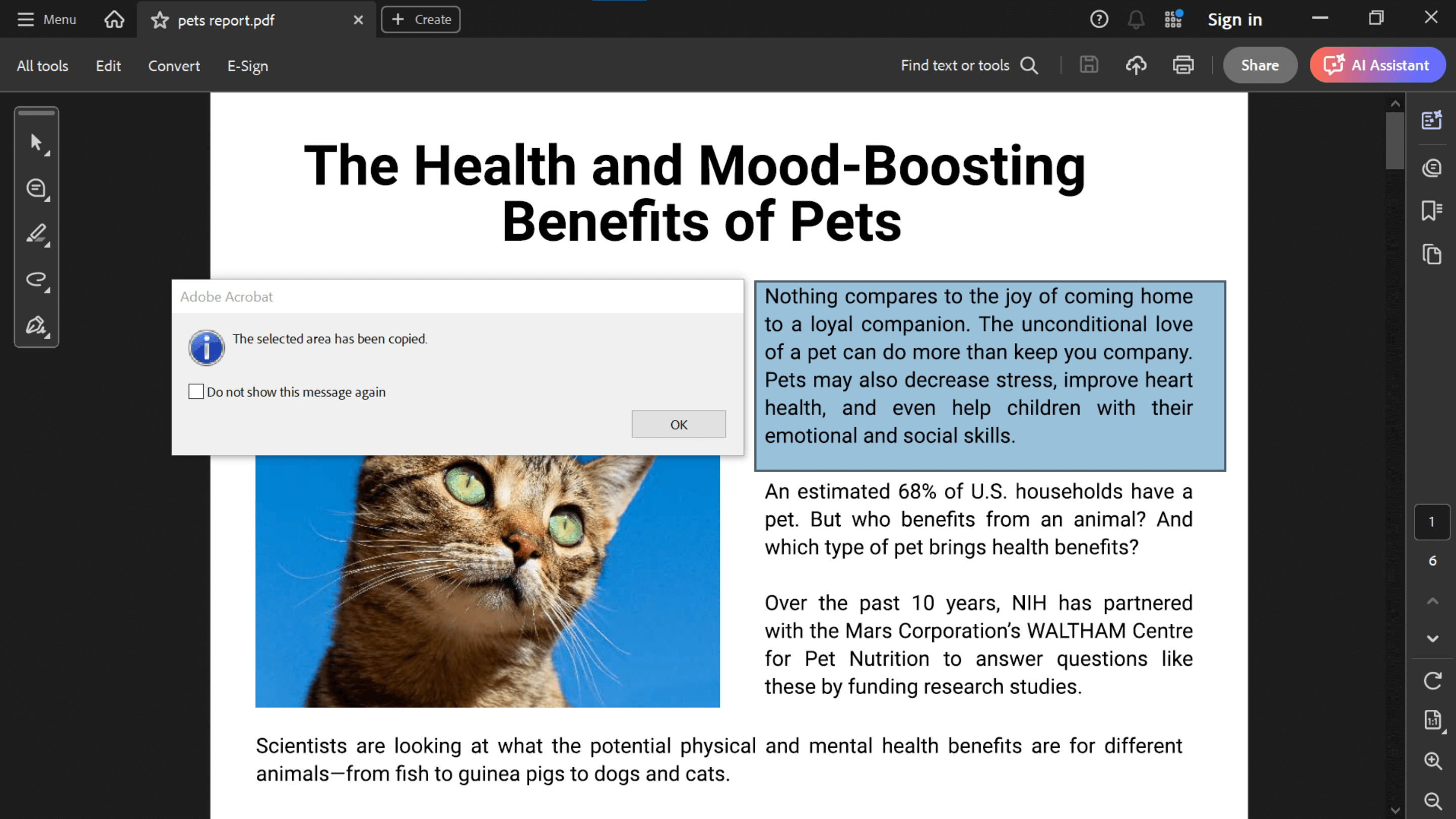 How to Snapshot in Adobe Acrobat? Step by Step | UPDF