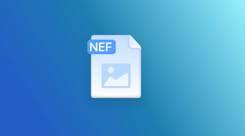 NEF File: What is it? How to Open and Convert?